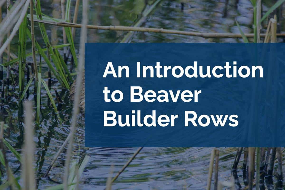 An Introduction to Beaver Builder Rows - Pixel Jar