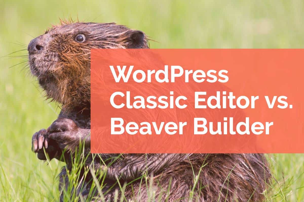 WordPress Classic Editor vs. Beaver Builder - Pixel Jar